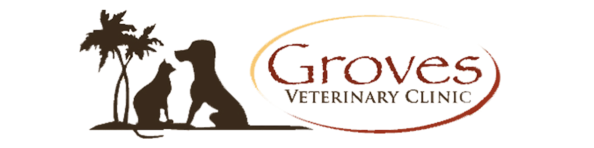 Groves Veterinary Clinic | Veterinarian in Port Charlotte